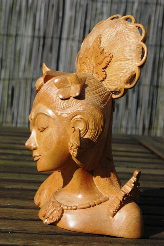 Bustes of Borstbeelden – Bart Laurens